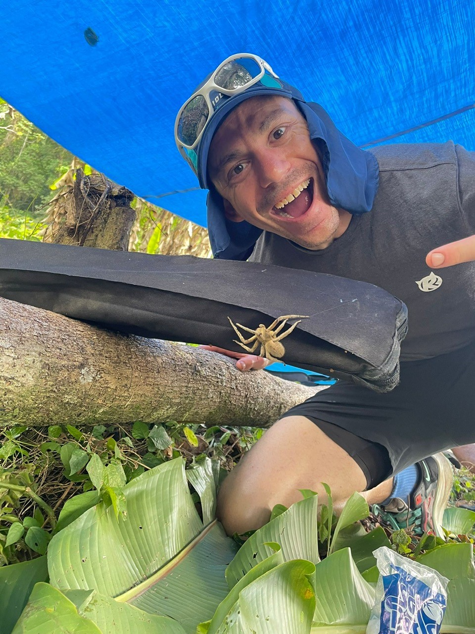 Dan Ran Panama! - Sported